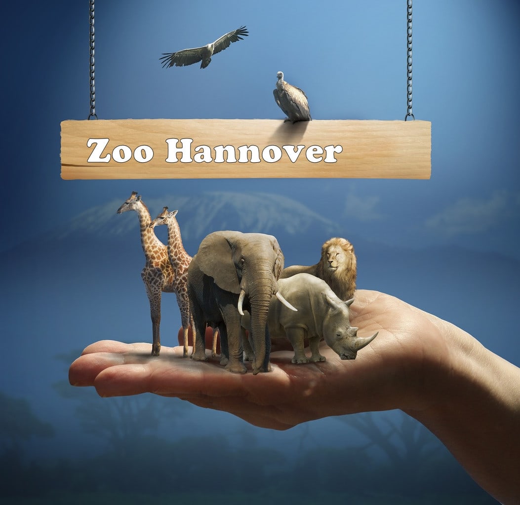 Tagestour in den Zoo von Hannover • Marco Oderkerk